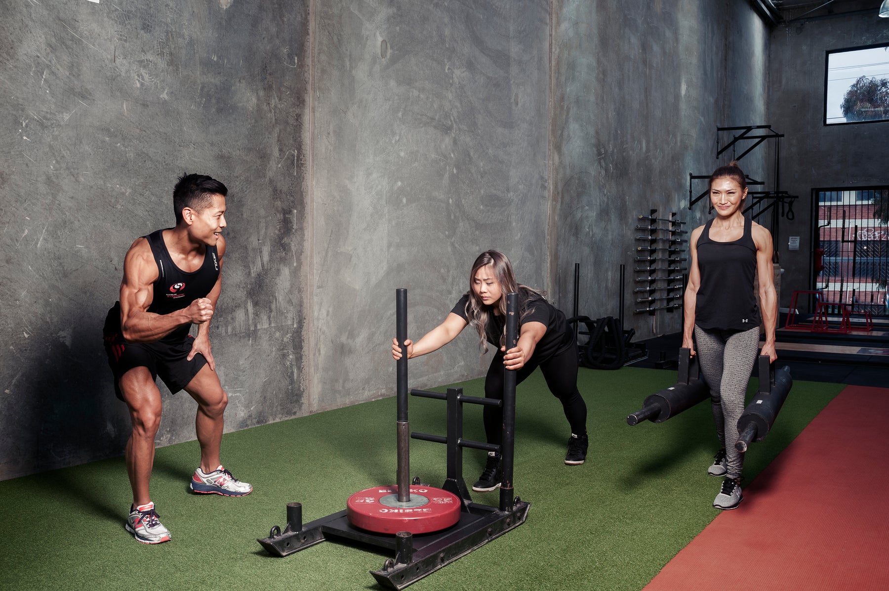 The Science and Art of Programming – MFP-GROUP